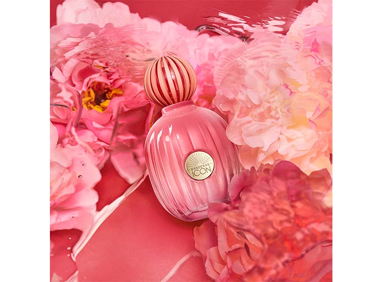 Ripley - SET PERFUME ANTONIO BANDERAS THE ICON FEMME MUJER EDP 50 ML+ ...