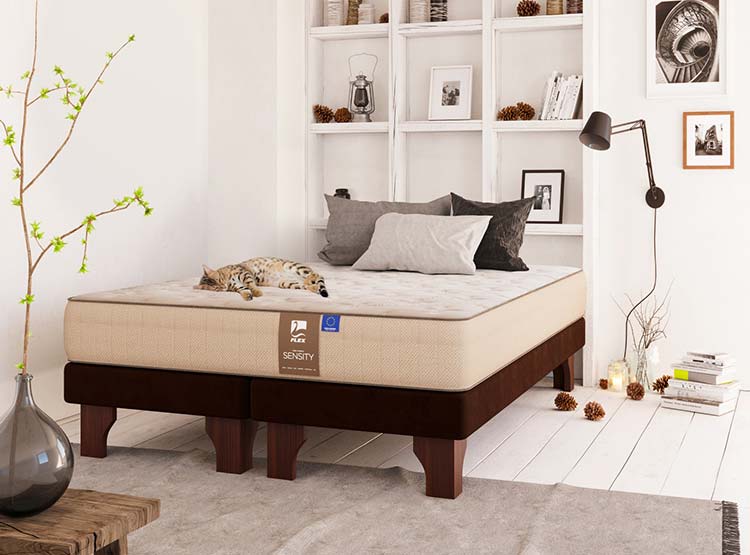 JUEGO DE DORMITORIO FLEX CAMA EUROPEA DUAL SENSITY BOX 2 PLAZAS + SET ...