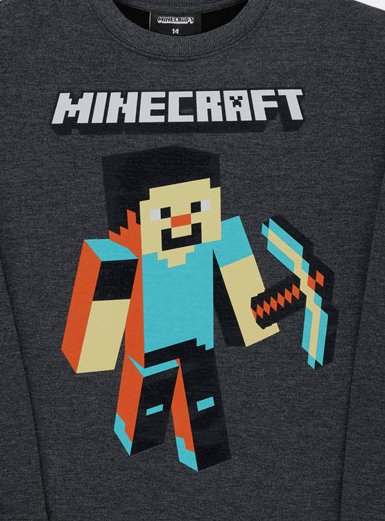 POLERON MINECRAFT